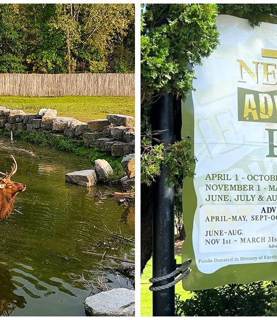 unique zoo animals wisconsin ftr