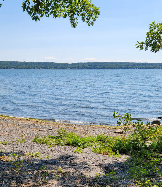 vermont serene state park ftr