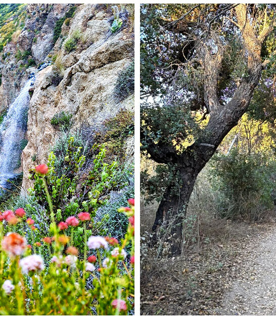 waterfall hike malibu ca FTR