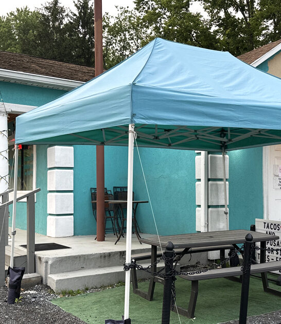 west virginia fried chicken ftr