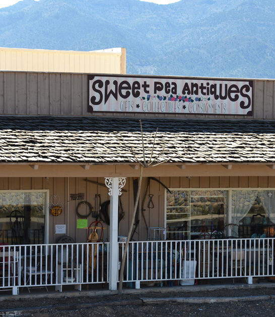 whimsical antique shop arizona ftr