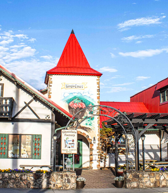 whimsical candy stores georgia ftr