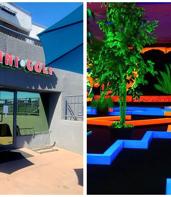 whimsical indoor golf arizona ftr