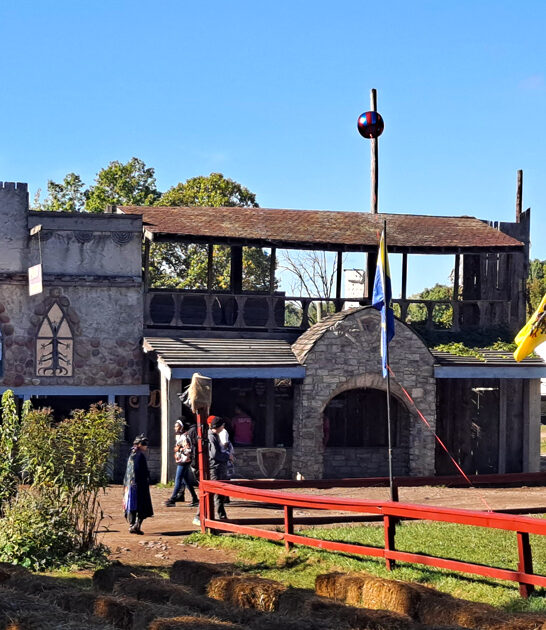 whimsical medieval attractions michigan ftr