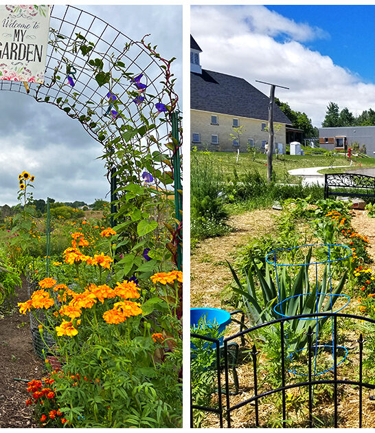 whimsical michigan road trip ftr