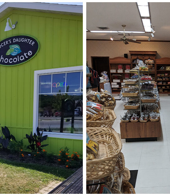 whimsical shops michigan chocolate ftr