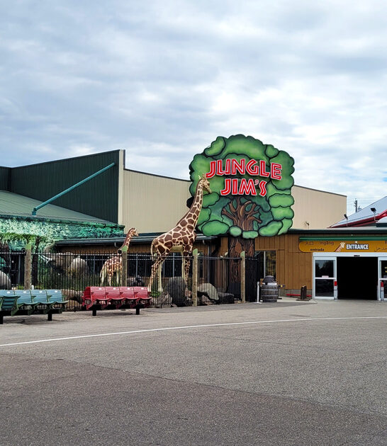 whimsical supermarket ohio ftr