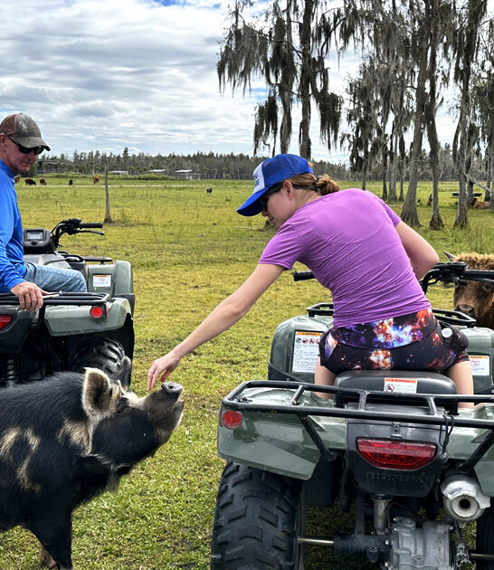 wild adventure florida animal ftr