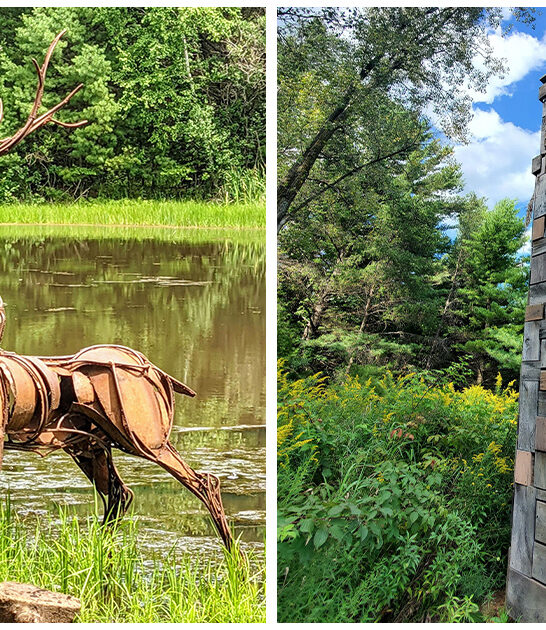 wisconsin whimsical sculpture park ftr