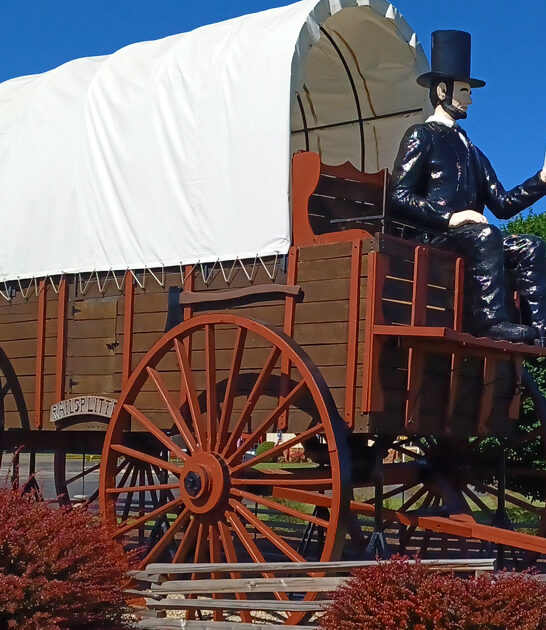 wonderfully odd attraction illinois ftr