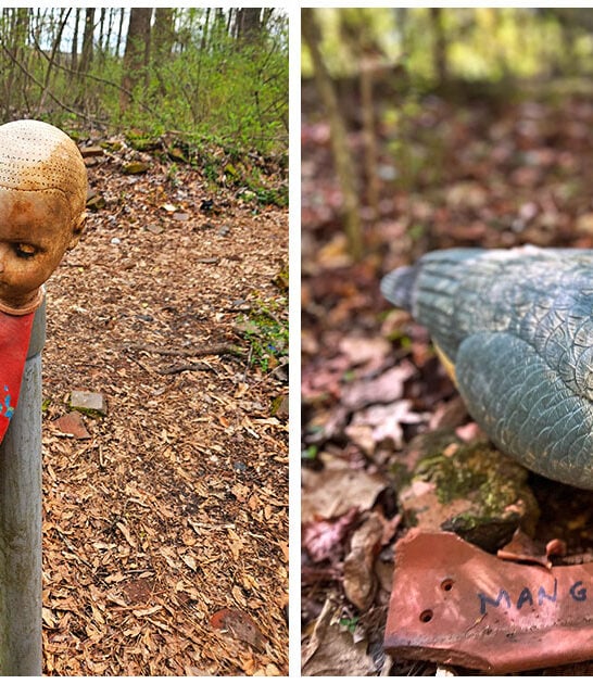 wonderfully odd trail georgia ftr