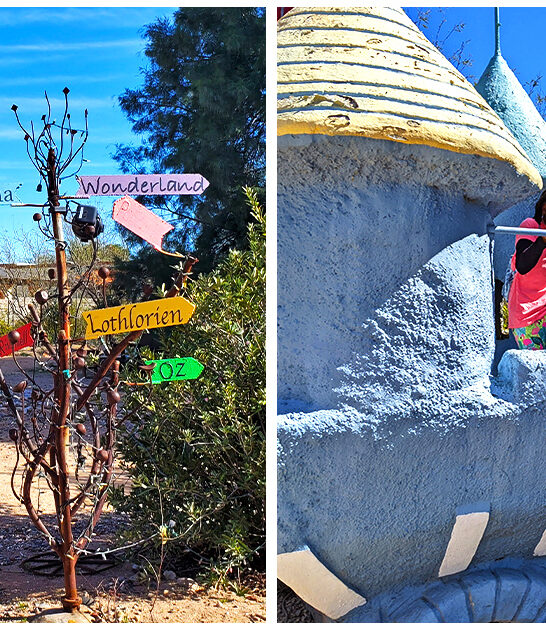 wonderfully quirky spots arizona ftr