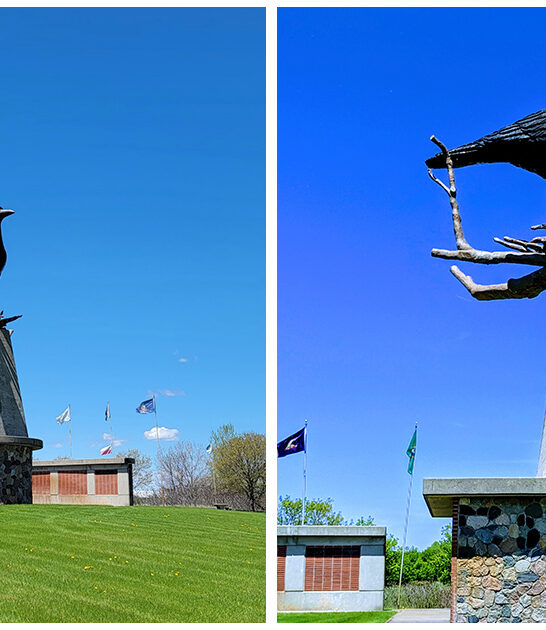 world largest crow minnesota FTR