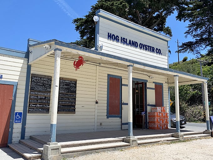Welcome to seafood paradise! Hog Island Oyster Co. stands proud, a beacon of briny delights nestled in the heart of Marshall.