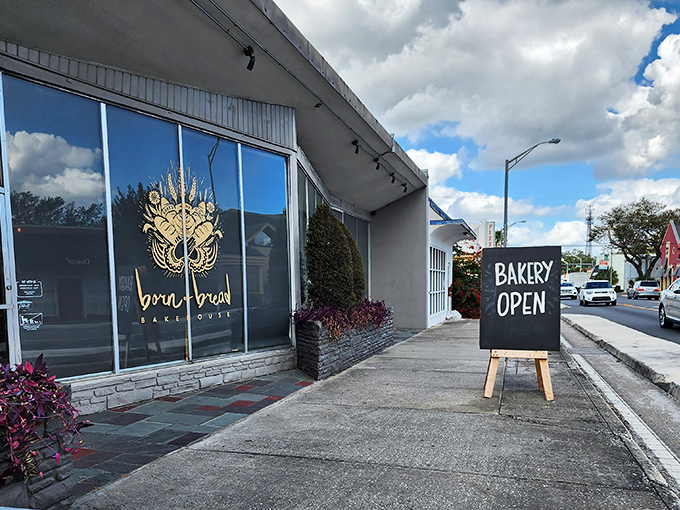 1 the cinnamon rolls at this unassuming bakery in florida are out of this world delicious