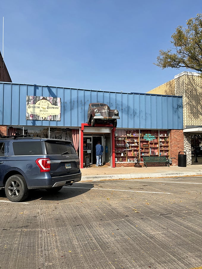 "Step right up, folks!" The Eclectic Elephant's vibrant blue exterior beckons like a carnival barker, promising wonders within. Who could resist that charming pachyderm invitation?