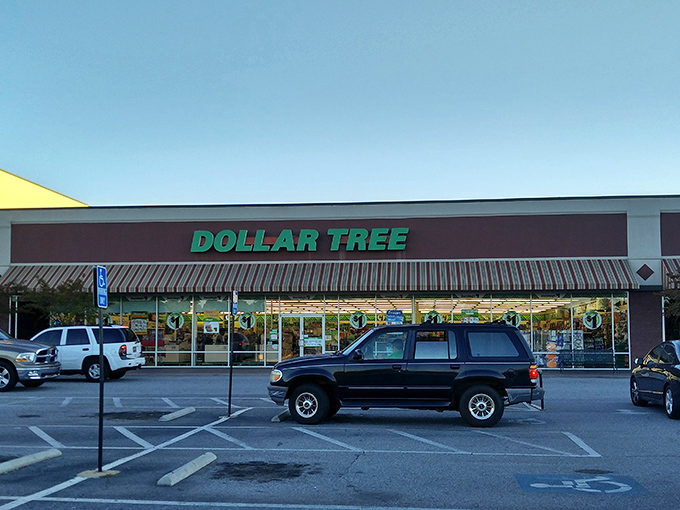 Welcome to the land of endless possibilities, where every item is a steal and your wallet breathes a sigh of relief. Dollar Tree: where dreams come true, one buck at a time. 