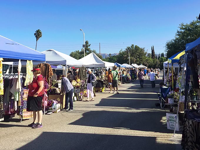 A treasure hunter's paradise! Rows of white tents stretch as far as the eye can see, promising vintage delights and unexpected finds.