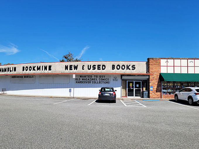 Welcome to Chamblin Bookmine, where the phrase "so many books, so little time" becomes a thrilling challenge rather than a lament.