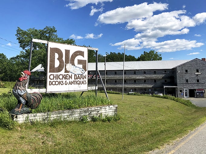 Who needs a time machine when you've got this literary fortress? The Big Chicken Barn's weathered exterior promises a treasure trove of stories waiting to be discovered.