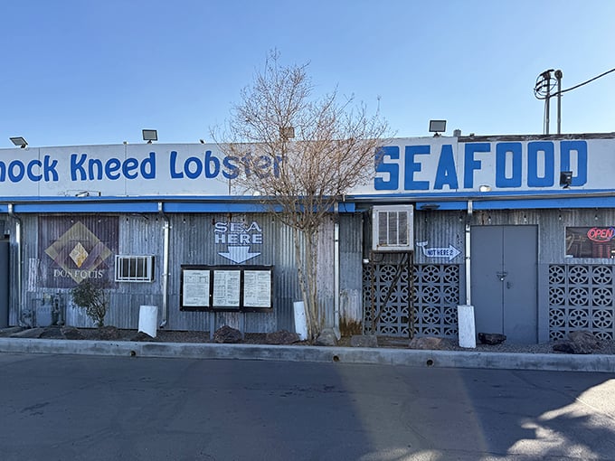 Who needs a beach when you've got this seafood shack? Knock Kneed Lobster brings coastal charm to the desert, complete with weathered wood and a promise of oceanic delights.
