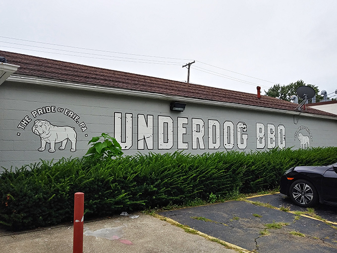 The unassuming blue exterior of Underdog BBQ is like a secret handshake &ndash; only those in-the-know recognize the culinary treasures waiting inside.