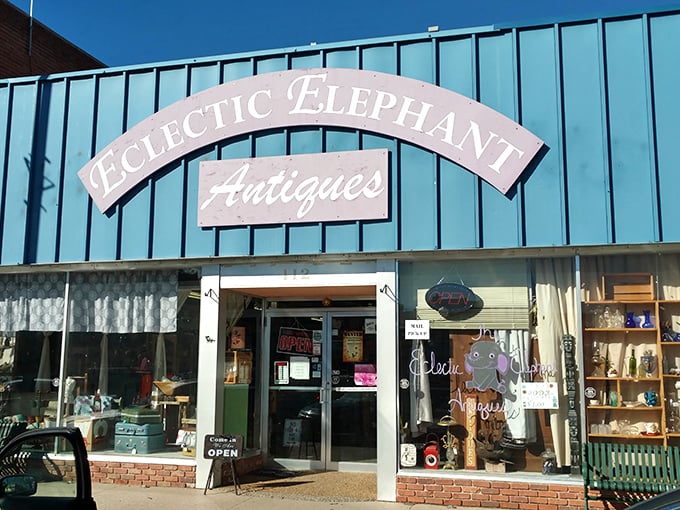 "Step right up, folks!" The Eclectic Elephant's vibrant blue exterior beckons like a carnival barker, promising wonders within. Who could resist that charming pachyderm invitation?