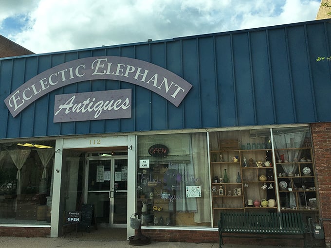"Step right up, folks!" The Eclectic Elephant's vibrant blue exterior beckons like a carnival barker, promising wonders within. Who could resist that charming pachyderm invitation?