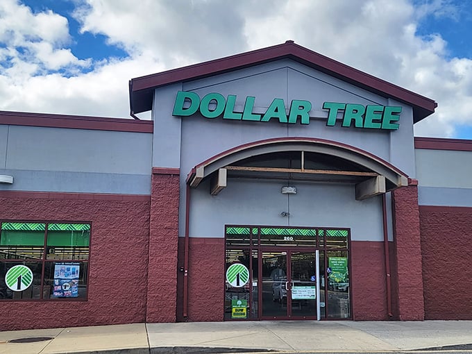 Welcome to the emerald kingdom of frugality! This Dollar Tree's facade promises a treasure trove of bargains behind its inviting doors.
