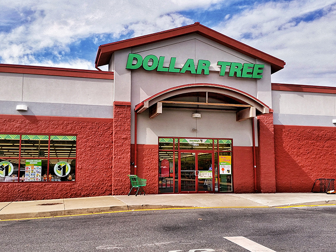 Welcome to the emerald kingdom of frugality! This Dollar Tree's facade promises a treasure trove of bargains behind its inviting doors.