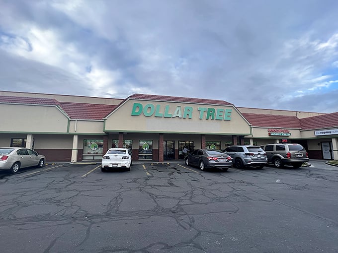 Welcome to the land of endless possibilities, where every item is a steal at just a buck! This Dollar Tree's facade promises a treasure trove of bargains waiting inside. 