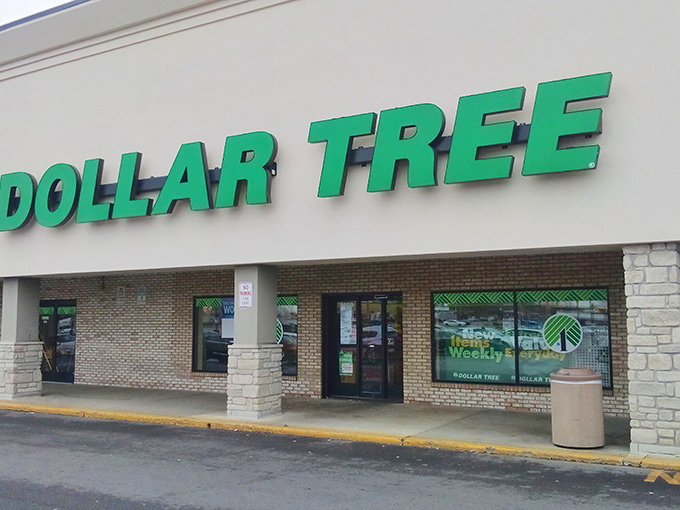 Welcome to the emerald city of savings! This Dollar Tree's facade promises a wonderland of bargains behind those sliding doors.