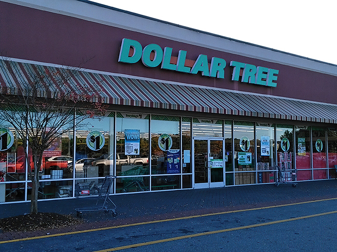 Welcome to the land of endless possibilities, where every item is a steal and your wallet breathes a sigh of relief. Dollar Tree: where dreams come true, one buck at a time.