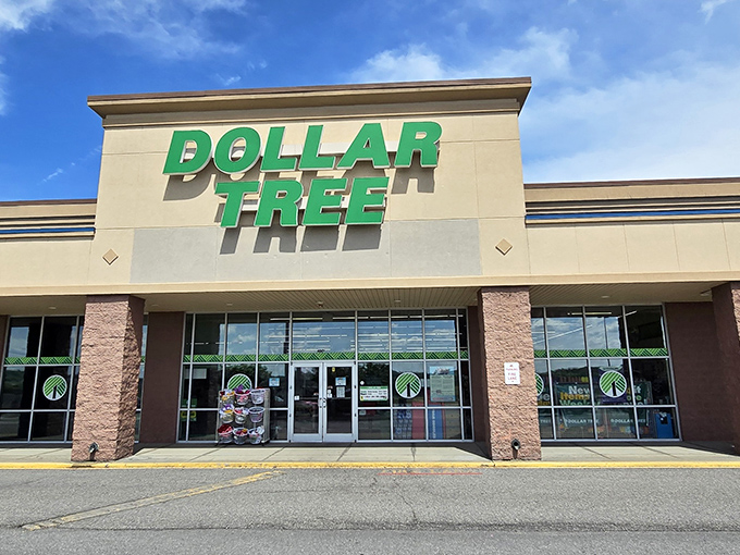 The iconic green signage beckons bargain hunters like a beacon of hope in a sea of retail inflation. Budget nirvana awaits!