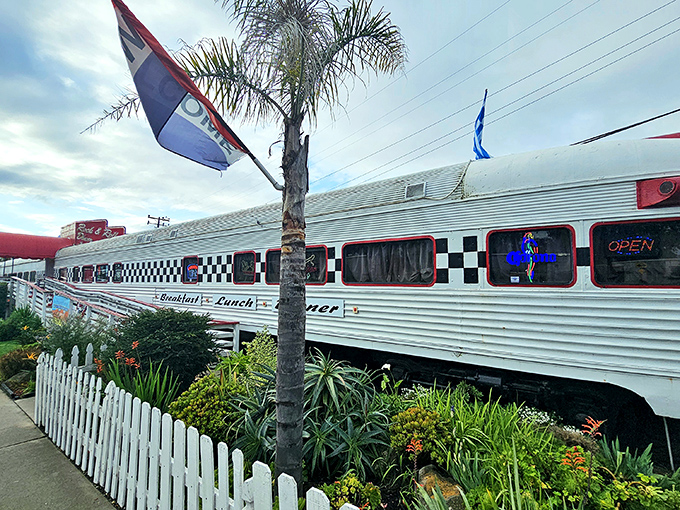 All aboard the flavor express! This gleaming white train car, adorned with a classic checkerboard pattern, promises a journey through time and taste.
