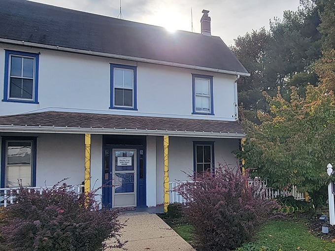 A slice of Americana with a side of comfort food! Lettie's Kitchen, housed in a charming white farmhouse, promises culinary delights that'll make you feel right at home.