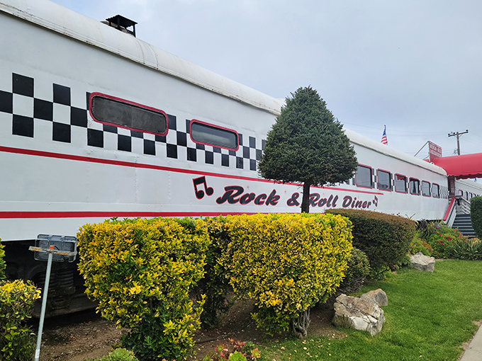 All aboard the flavor express! This gleaming white train car, adorned with a classic checkerboard pattern, promises a journey through time and taste.