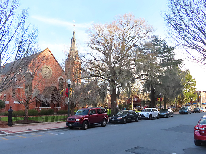 Step into a postcard! New Bern's tree-lined streets and historic charm make you feel like you've time-traveled to a gentler era.