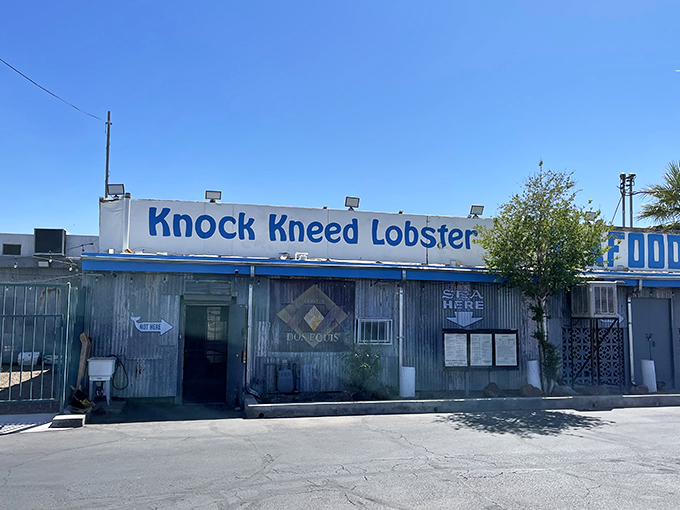 Who needs a beach when you've got this seafood shack? Knock Kneed Lobster brings coastal charm to the desert, complete with weathered wood and a promise of oceanic delights.