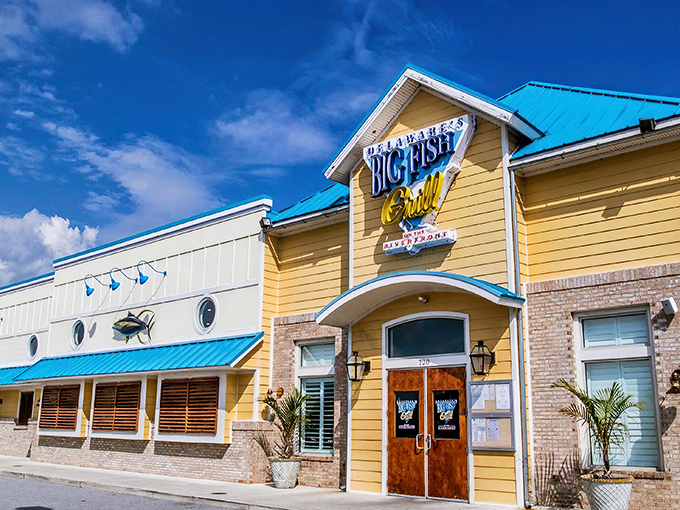 Ahoy, seafood lovers! This sunny yellow beacon is like a lighthouse for hungry sailors, guiding us to a treasure trove of oceanic delights.