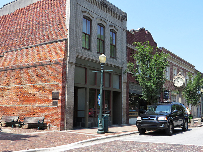 Step into a postcard! New Bern's tree-lined streets and historic charm make you feel like you've time-traveled to a gentler era. 