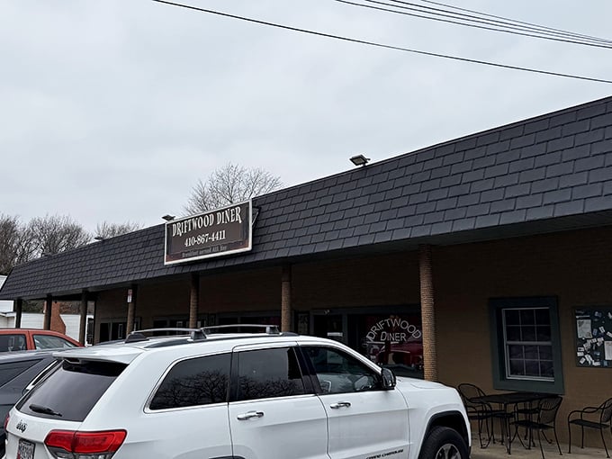 Welcome to flavor town! The Driftwood Diner's unassuming exterior hides a world of culinary delights waiting to be discovered. It's like finding a treasure chest disguised as a shoebox.