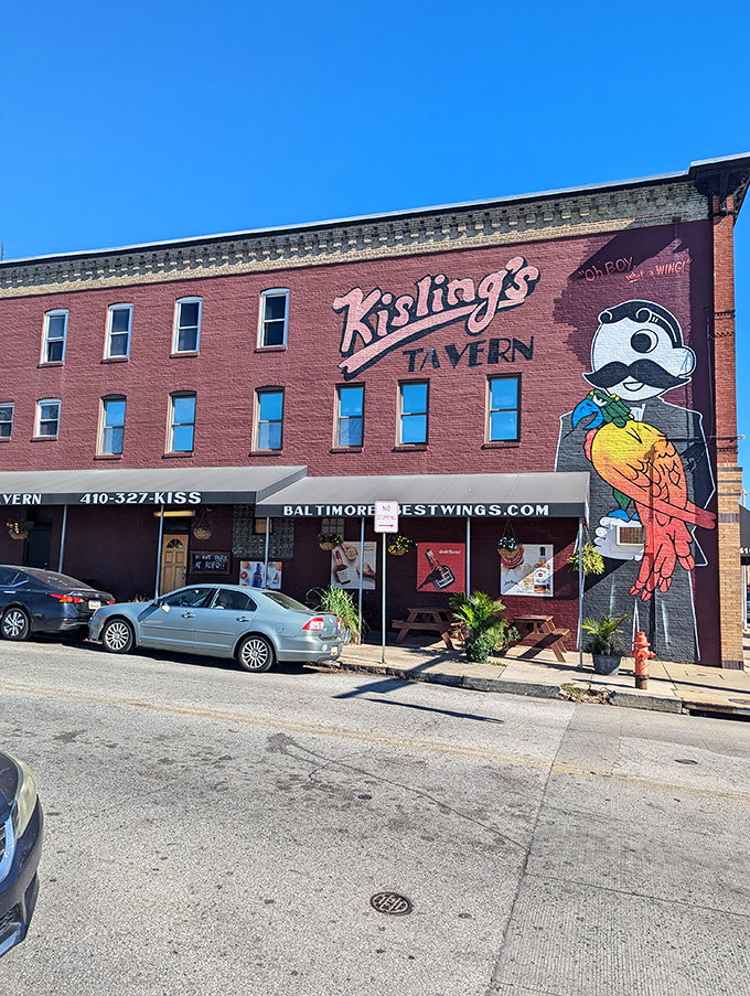 Welcome to flavor town! Kislings Tavern's vibrant exterior promises a wing adventure that'll make your taste buds do a happy dance.