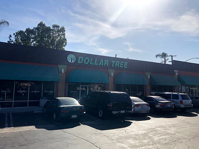 Welcome to the land of endless possibilities, where your dollar stretches further than you ever imagined. This Dollar Tree is a bargain hunter's paradise!