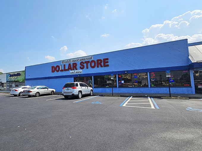 Welcome to bargain paradise! This vibrant blue building isn't just a store; it's a treasure trove of unexpected delights waiting to be discovered.