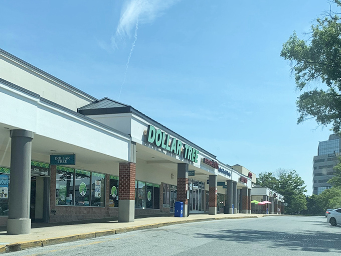 Welcome to the green-and-white gateway of frugal fantasies! This Dollar Tree facade promises a wonderland of wallet-friendly treasures waiting to be discovered.