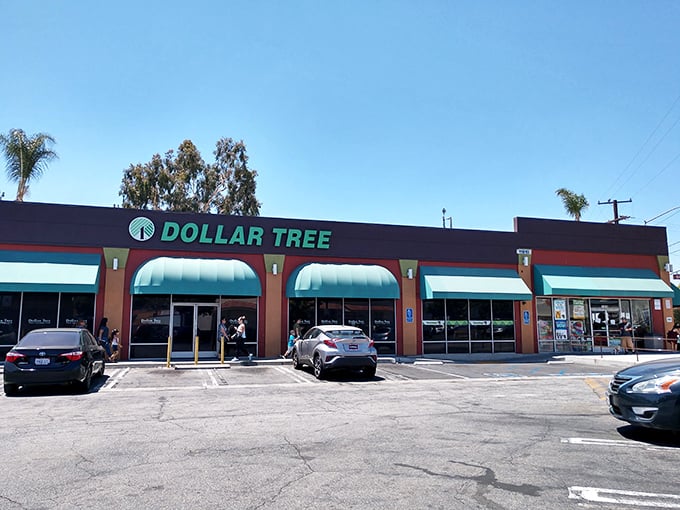 Welcome to the land of endless possibilities, where your dollar stretches further than you ever imagined. This Dollar Tree is a bargain hunter's paradise!