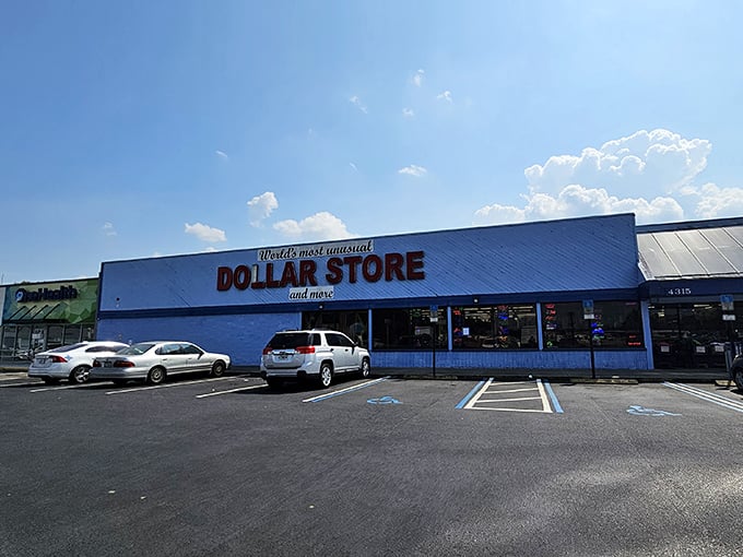 Welcome to bargain paradise! This vibrant blue building isn't just a store; it's a treasure trove of unexpected delights waiting to be discovered.