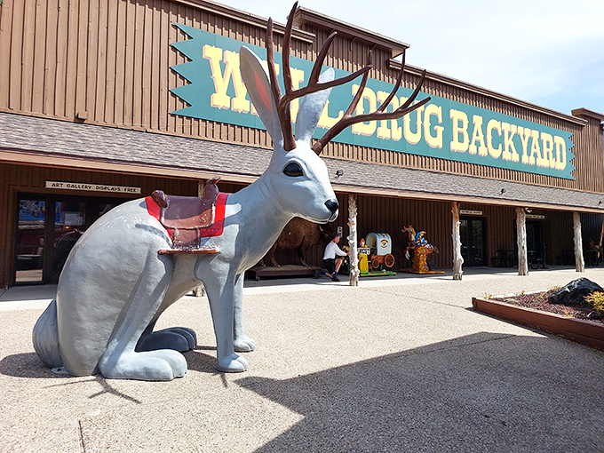 Welcome to Wall Drug, where the jackalopes roam free and the Wild West meets Willy Wonka! This giant rabbit statue is just the beginning of the whimsical wonders awaiting inside.