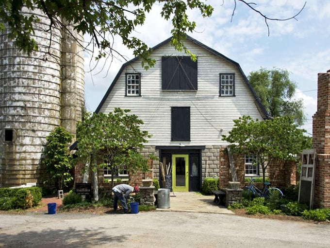 Welcome to Chartreuse & co, where barn-chic meets vintage paradise! These white barns aren't hiding hay &ndash; they're harboring treasures that'll make your inner antiquarian swoon.